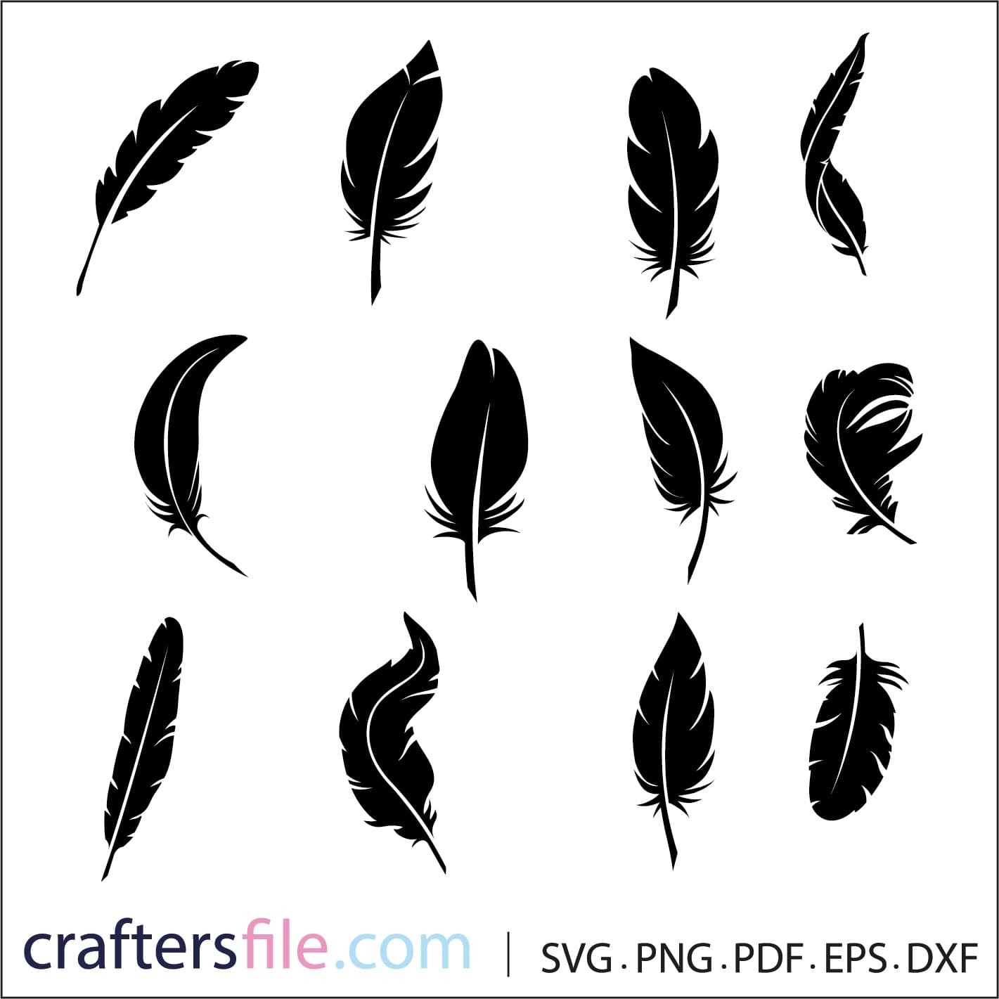 35 Feather Vector Designs for Creative Projects: Elegant Feather Vector ...